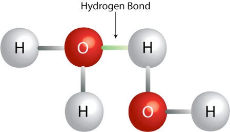 Coherent Water Resonators | Lake Steilacoom Improvement Club